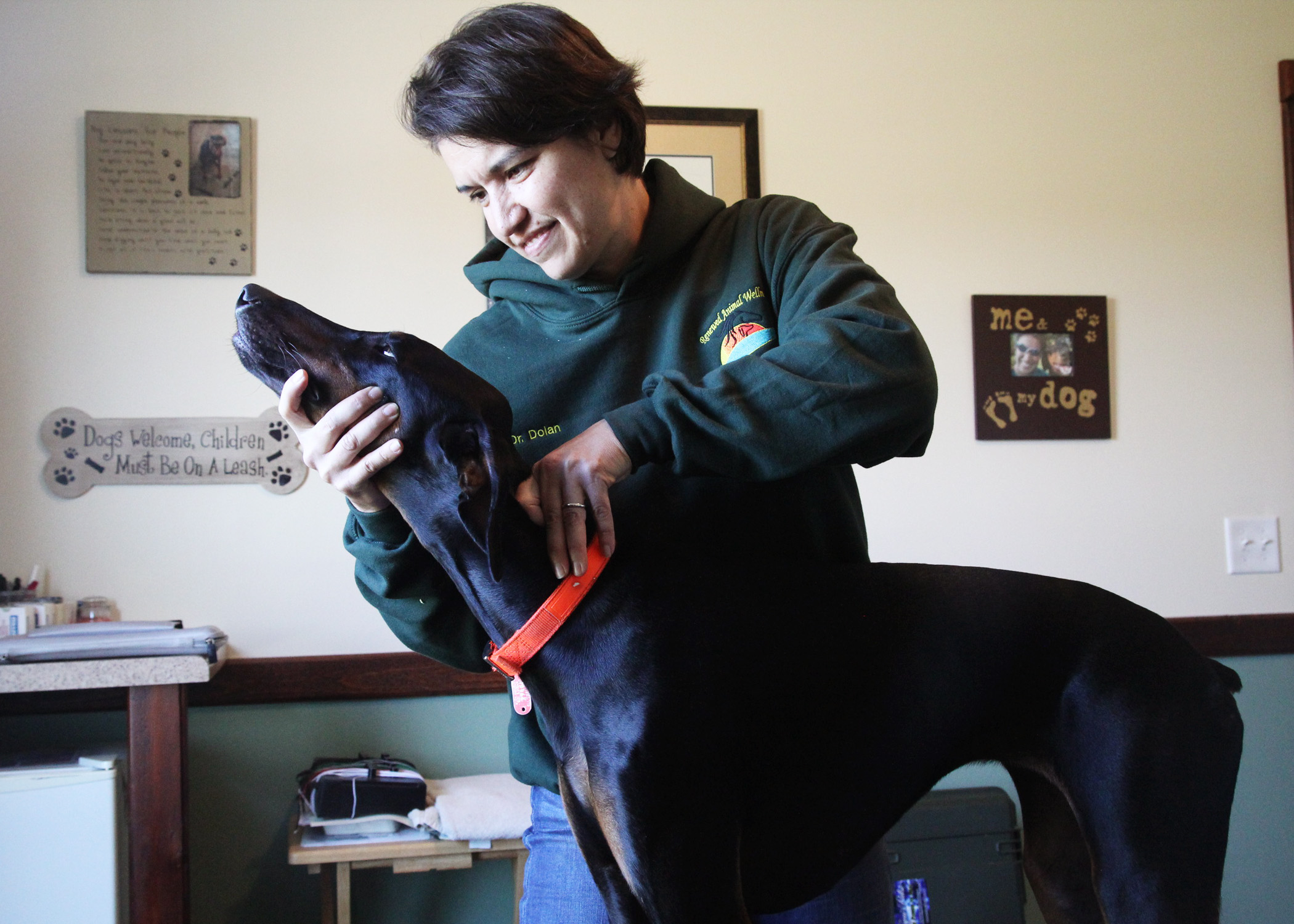 Canine Chiropractic – Renewed Animal Wellness